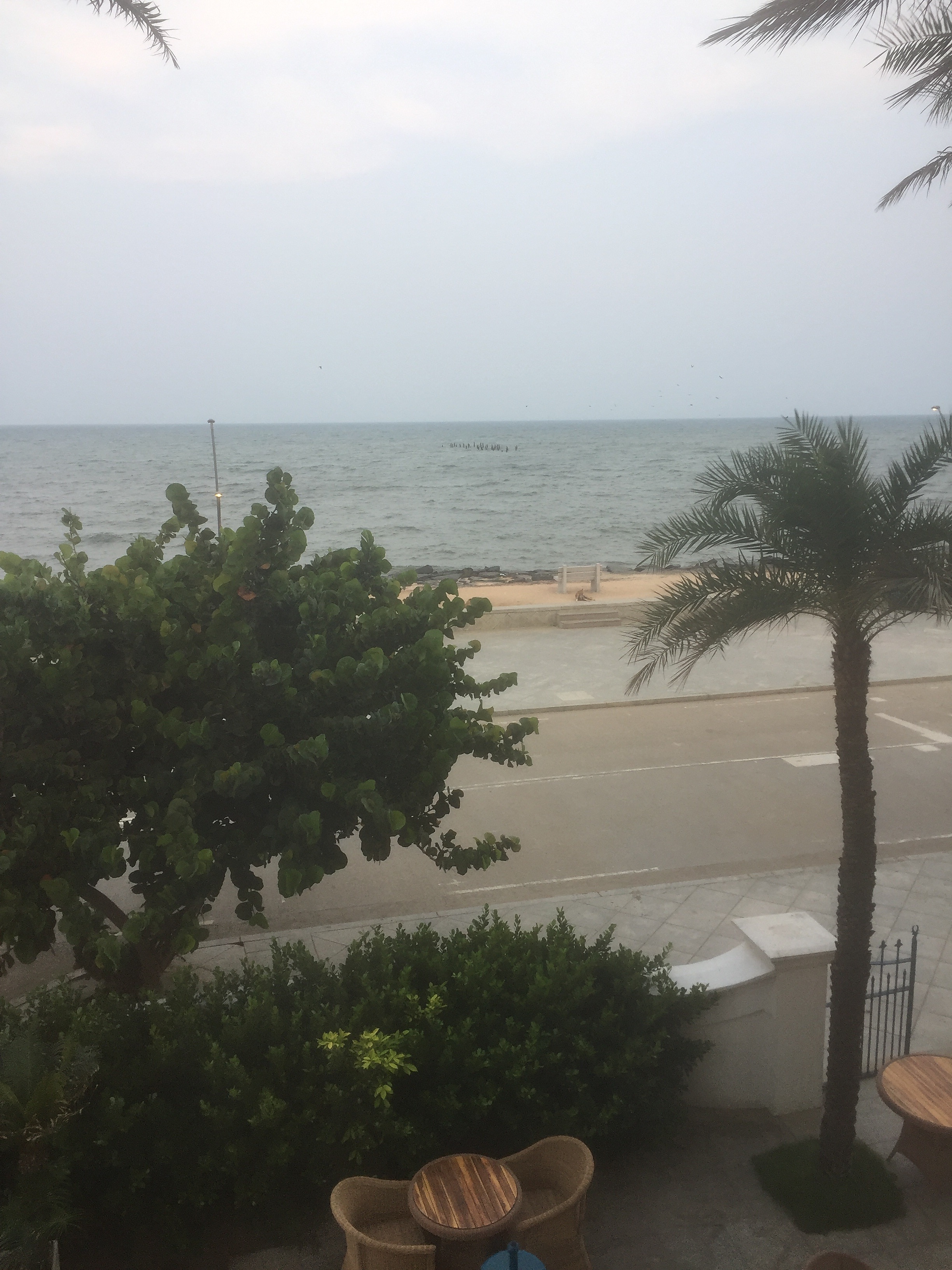 The Promenade Pondicherry Resort, FREE Cancellation*, Price, Address ...