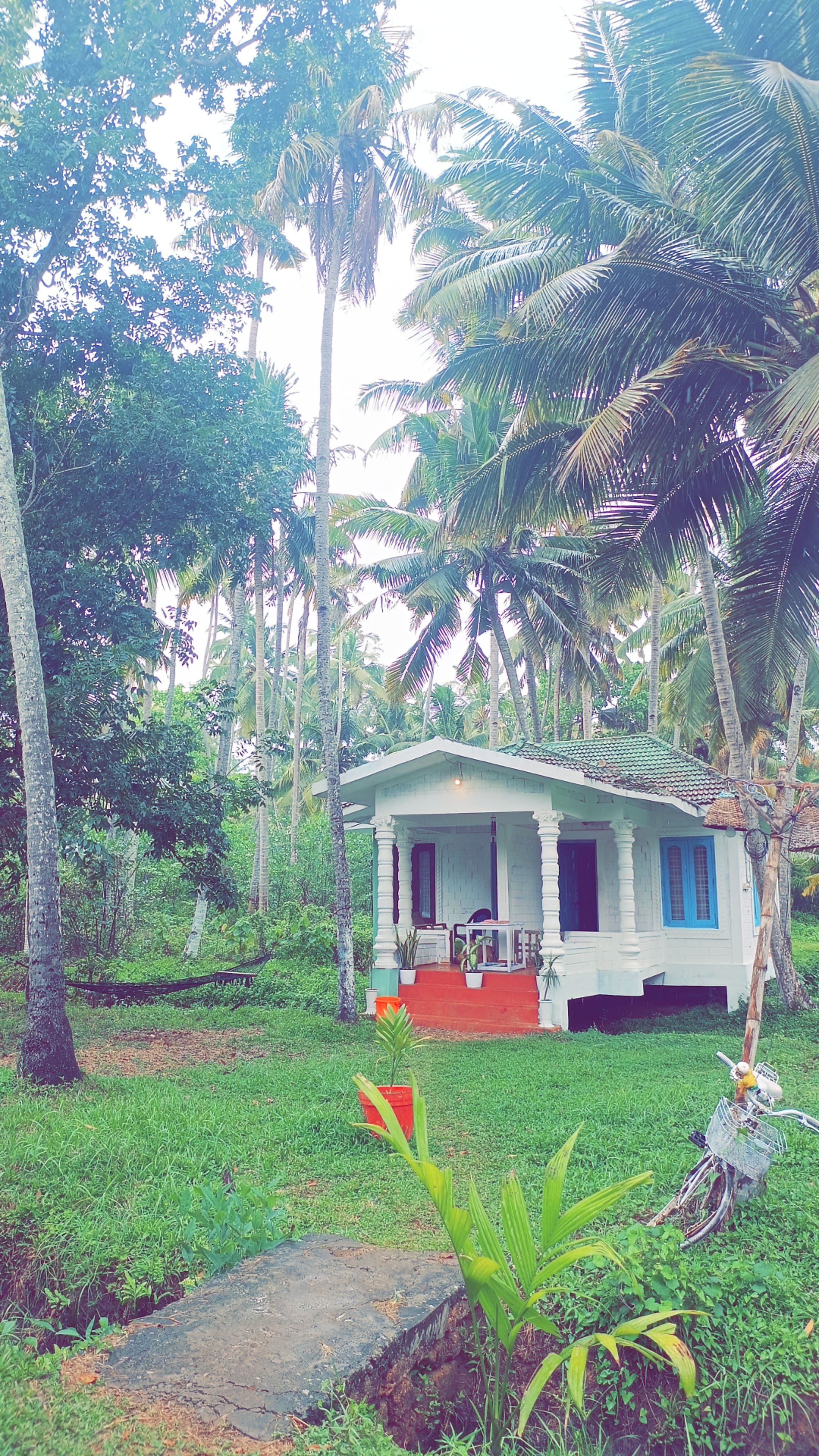 The Temple Tree 𝗕𝗢𝗢𝗞 Varkala Villa 𝘄𝗶𝘁𝗵 𝗙𝗥𝗘𝗘 𝗖𝗮𝗻𝗰𝗲𝗹𝗹𝗮𝘁𝗶𝗼𝗻