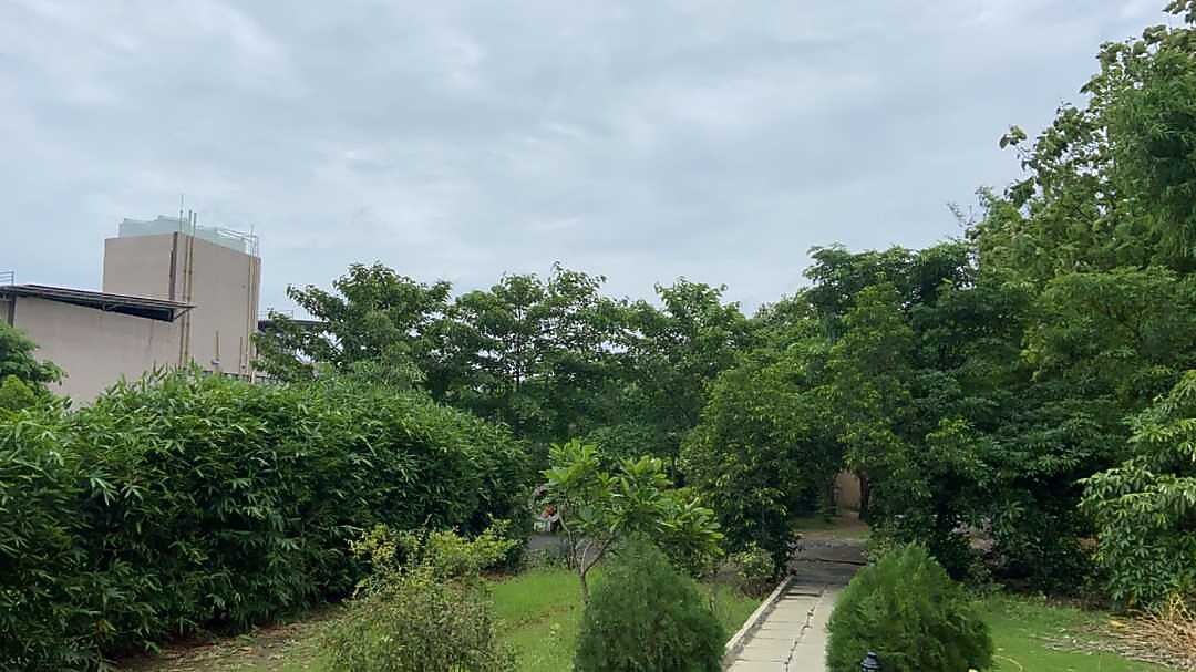 Reviews of Olive Resort - Sillari Pench - Resort in Ramtek