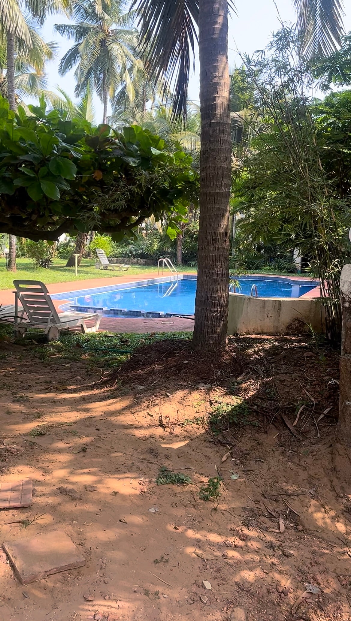 Jungle Hut- Annabelles Beach Apartments at Bernard Simao Calangute 𝗕𝗢𝗢𝗞 ...