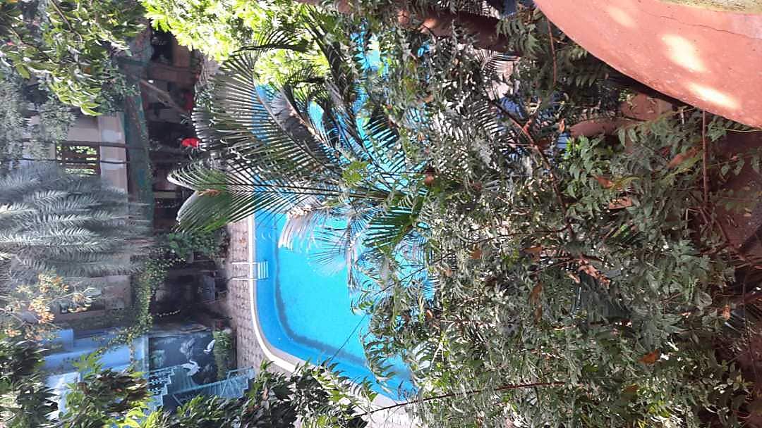 Photos of Hotel Mahabs - Hotel in Mahabalipuram