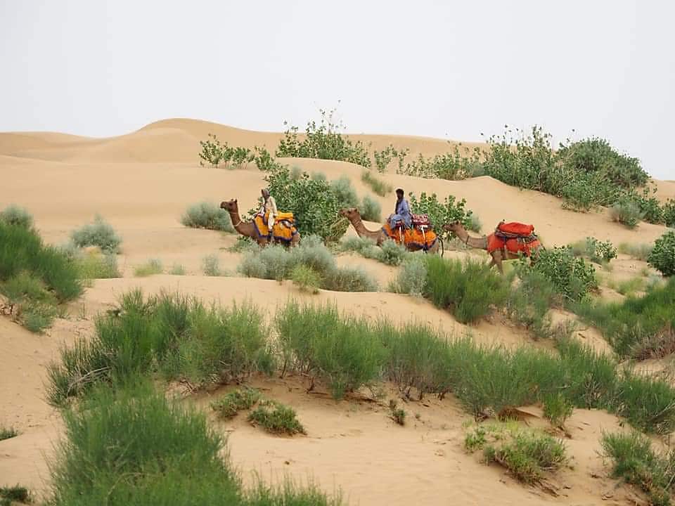 Classic Thar Resort&Camp 100% Money Back 𝗕𝗢𝗢𝗞 Jaisalmer Resort 𝘄𝗶𝘁𝗵 ₹𝟬 ...