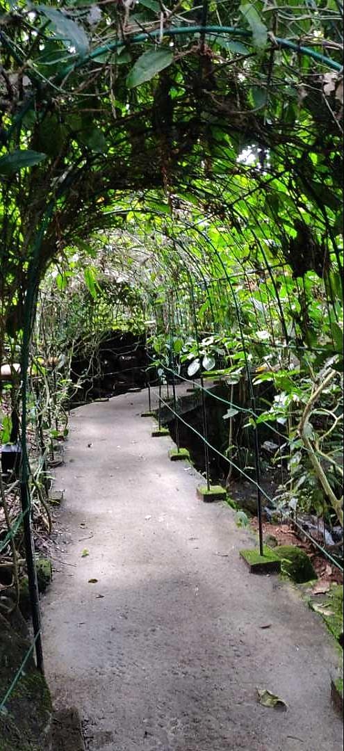 Tall Trees Resort Munnar Resort Price, Address & Reviews