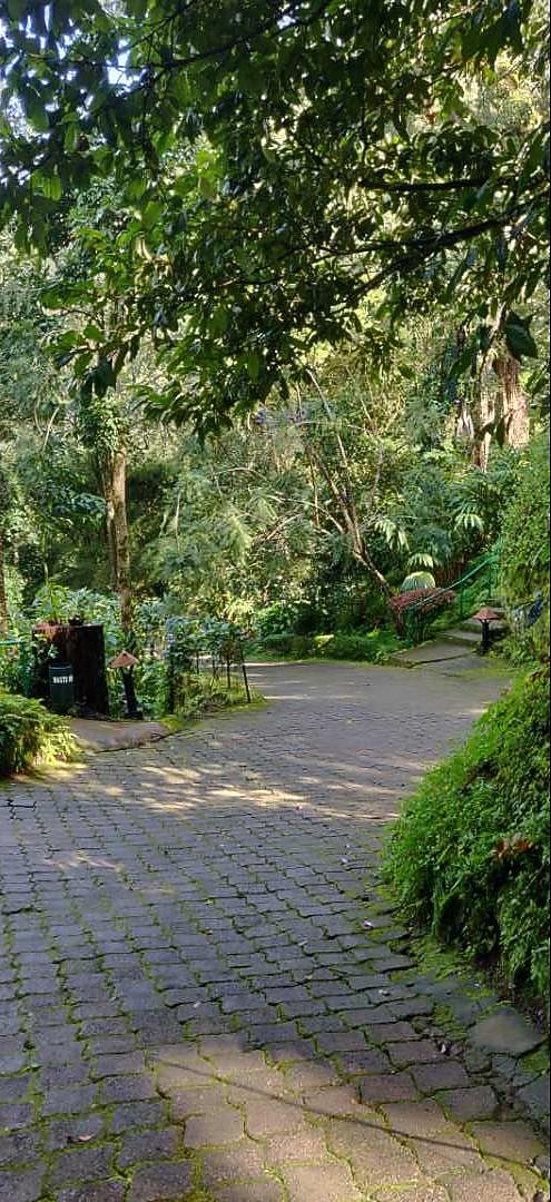 Tall Trees Resort Munnar Resort Price, Address & Reviews