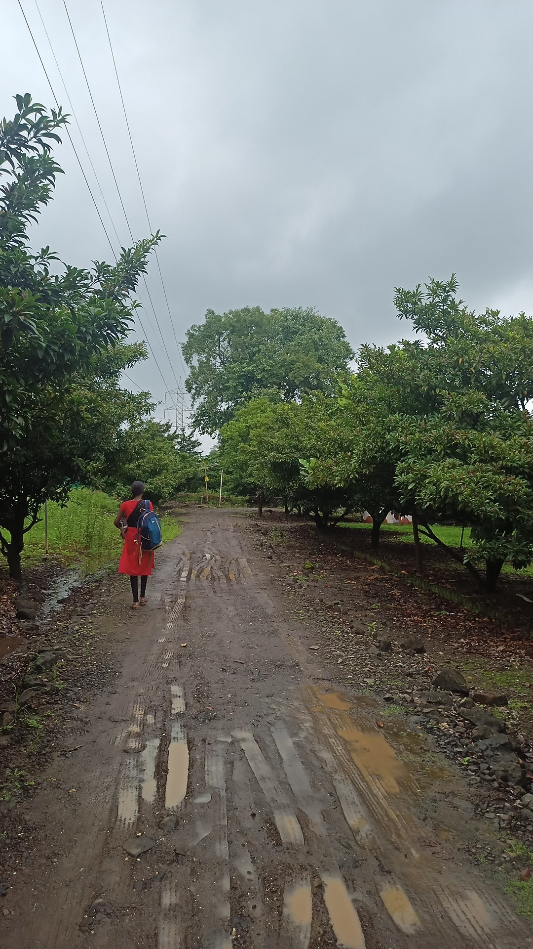 Photos of Mango Tree Farm Resort | Farm Stay - Farm House in Karjat