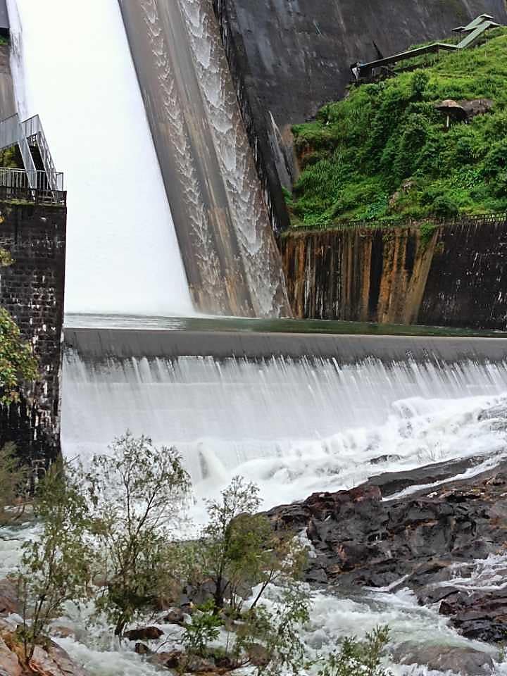 WINTEL WILD 𝗕𝗢𝗢𝗞 Valparai Resort 𝘄𝗶𝘁𝗵 𝗙𝗥𝗘𝗘 𝗖𝗮𝗻𝗰𝗲𝗹𝗹𝗮𝘁𝗶𝗼𝗻