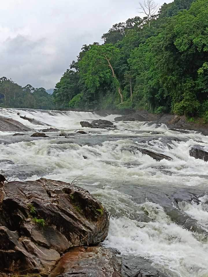 WINTEL WILD 𝗕𝗢𝗢𝗞 Valparai Resort 𝘄𝗶𝘁𝗵 𝗙𝗥𝗘𝗘 𝗖𝗮𝗻𝗰𝗲𝗹𝗹𝗮𝘁𝗶𝗼𝗻