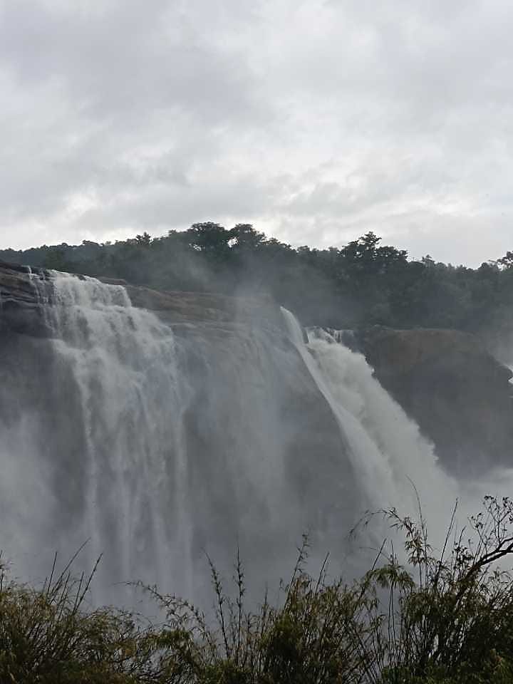 WINTEL WILD 𝗕𝗢𝗢𝗞 Valparai Resort 𝘄𝗶𝘁𝗵 𝗙𝗥𝗘𝗘 𝗖𝗮𝗻𝗰𝗲𝗹𝗹𝗮𝘁𝗶𝗼𝗻