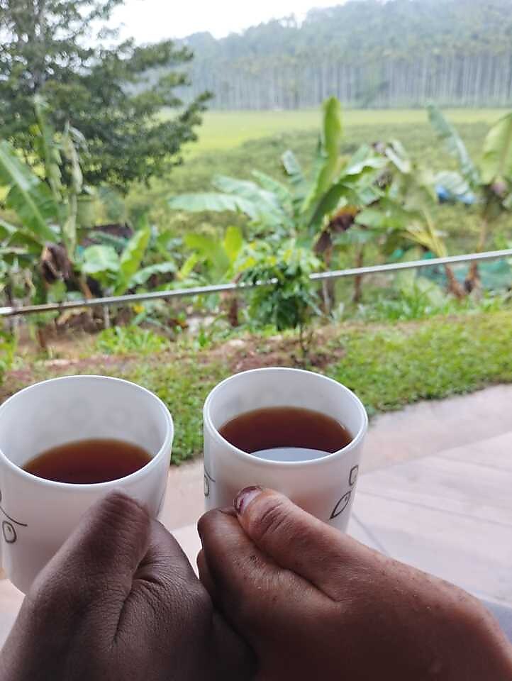 Agronest FarmStay | Wayanad Farm House BOOK @ ₹1