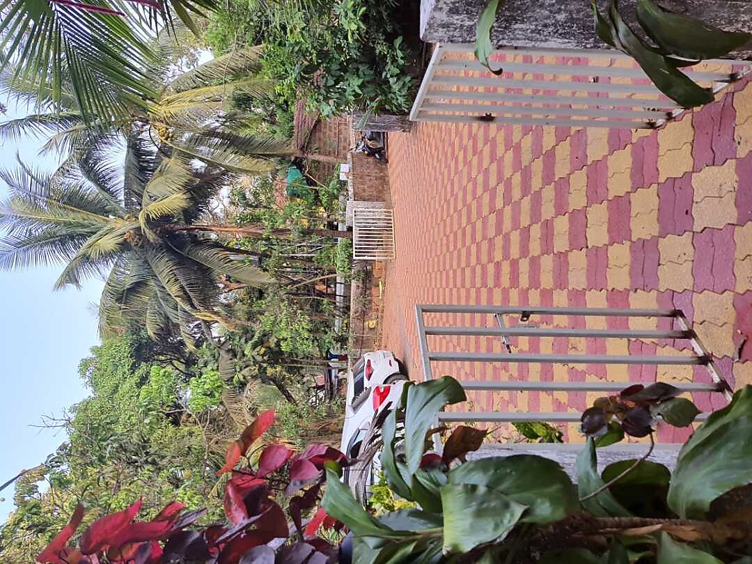 Photos of Rootsvilla Vagator- Longstays and coworking Hostel - Hostel ...