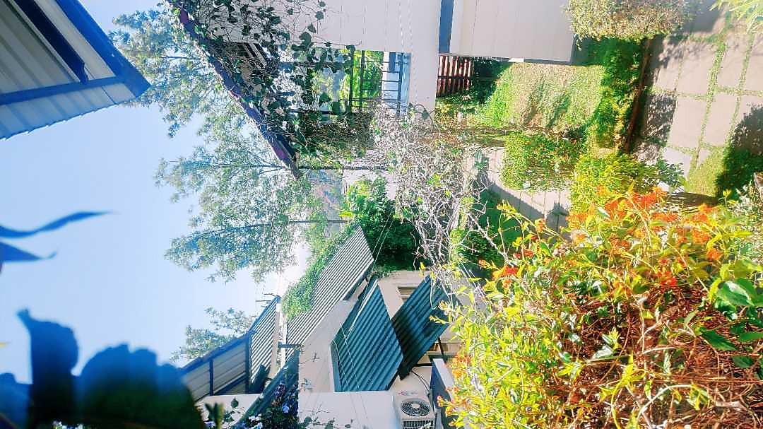 The Leaf Resort | Munnar Resort BOOK @ ₹1