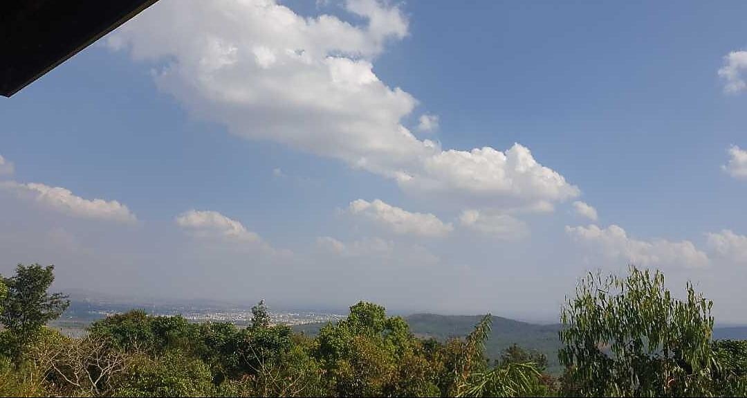 Java Rain Resort Chikmagalur Resort, FREE Cancellation*, Price, Address ...