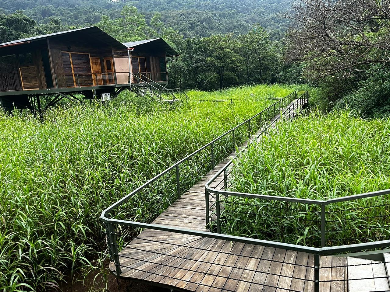 The Arboreal Resort Lonavala 𝗕𝗢𝗢𝗞 Lonavala Cottage 𝘄𝗶𝘁𝗵 ₹𝟬 𝗣𝗔𝗬𝗠𝗘𝗡𝗧