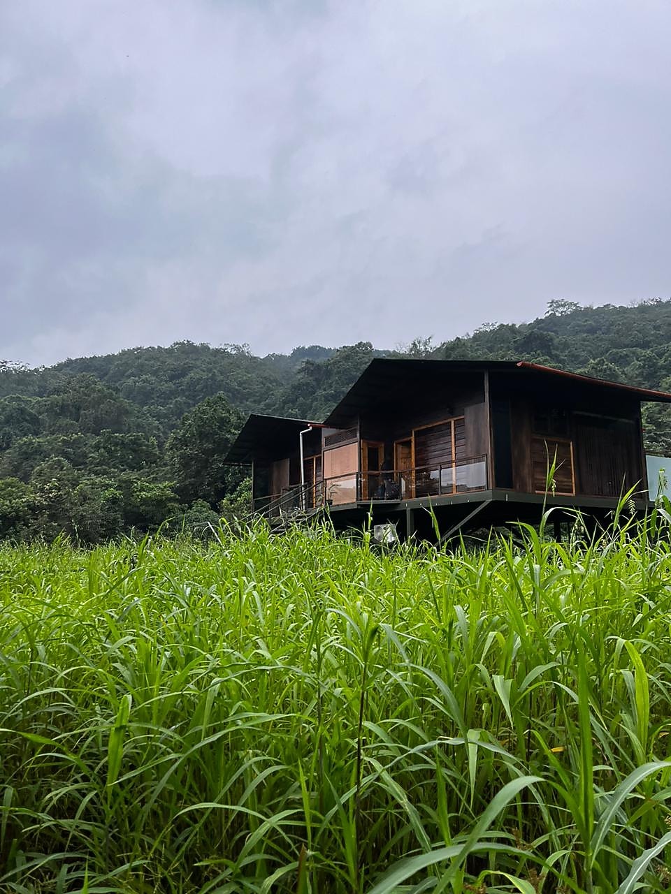 The Arboreal Resort Lonavala 𝗕𝗢𝗢𝗞 Lonavala Cottage 𝘄𝗶𝘁𝗵 𝗙𝗥𝗘𝗘 𝗖𝗮𝗻𝗰𝗲𝗹𝗹𝗮𝘁𝗶𝗼𝗻