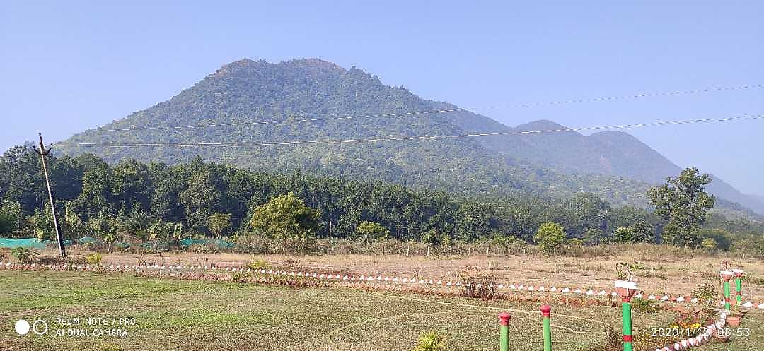 Photos of SATKOSIA HILL VIEW RESORT - Resort in Athagarh