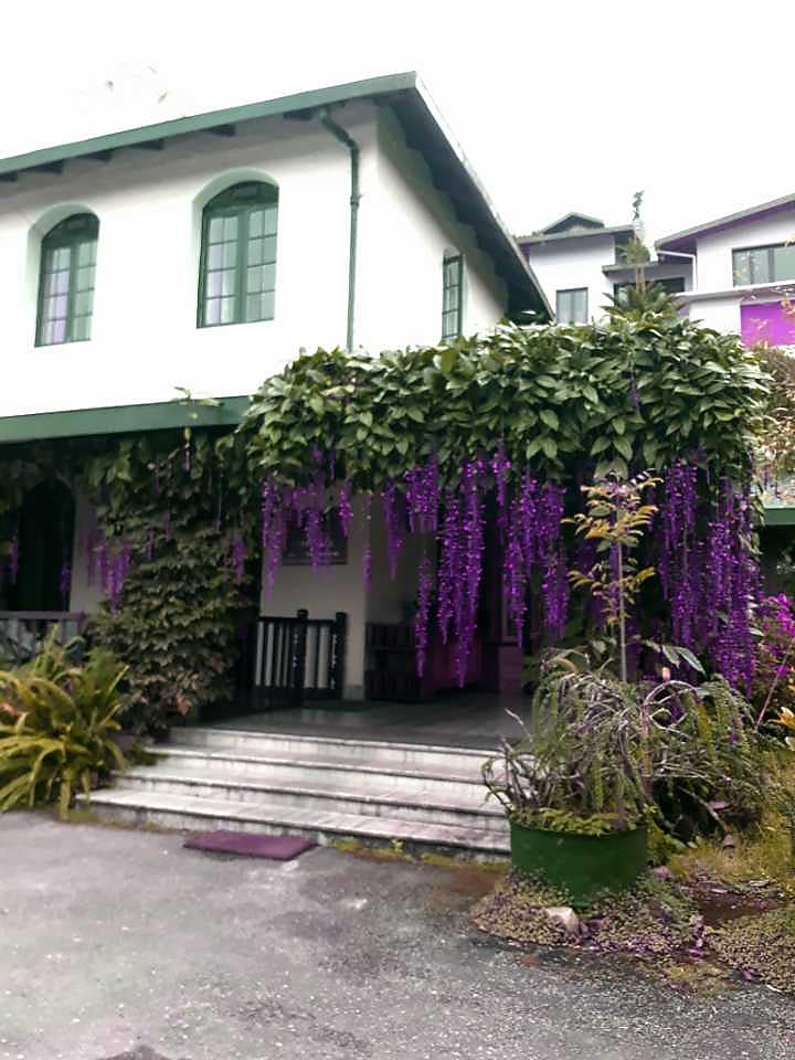 Sterling Park Kalimpong 𝗕𝗢𝗢𝗞 Kalimpong Hotel 𝘄𝗶𝘁𝗵 ₹𝟬 𝗣𝗔𝗬𝗠𝗘𝗡𝗧