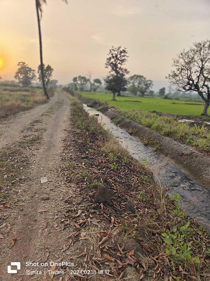 Reviews of Mango Tree Farm Resort | Farm Stay - Homestay in Karjat