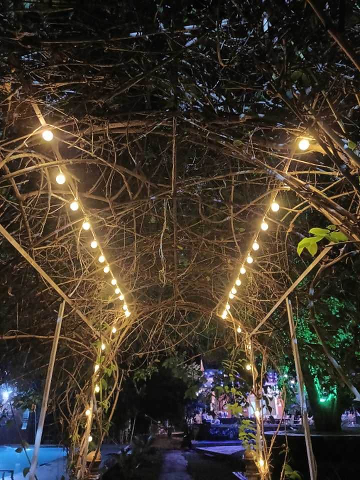 Reviews of Mango Tree Farm Resort | Farm Stay - Homestay in Karjat