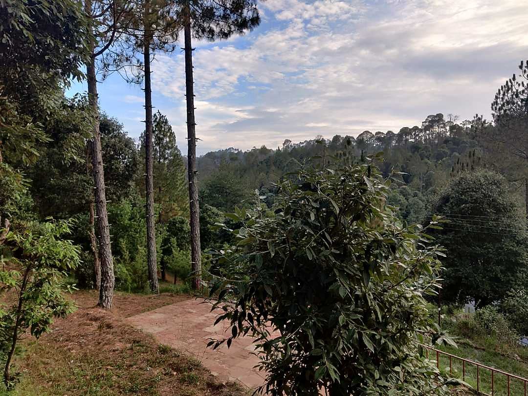 Photos of Majkhali woods, Ranikhet by Himalayan Eco Lodges - Resort in ...