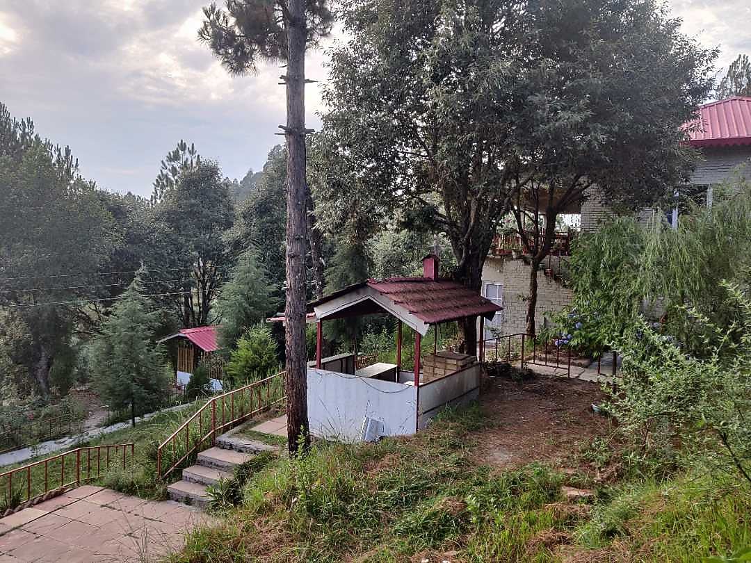 Photos of Majkhali woods, Ranikhet by Himalayan Eco Lodges - Resort in ...