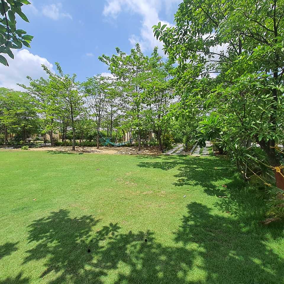 Reviews of Olive Resort - Sillari Pench - Resort in Ramtek