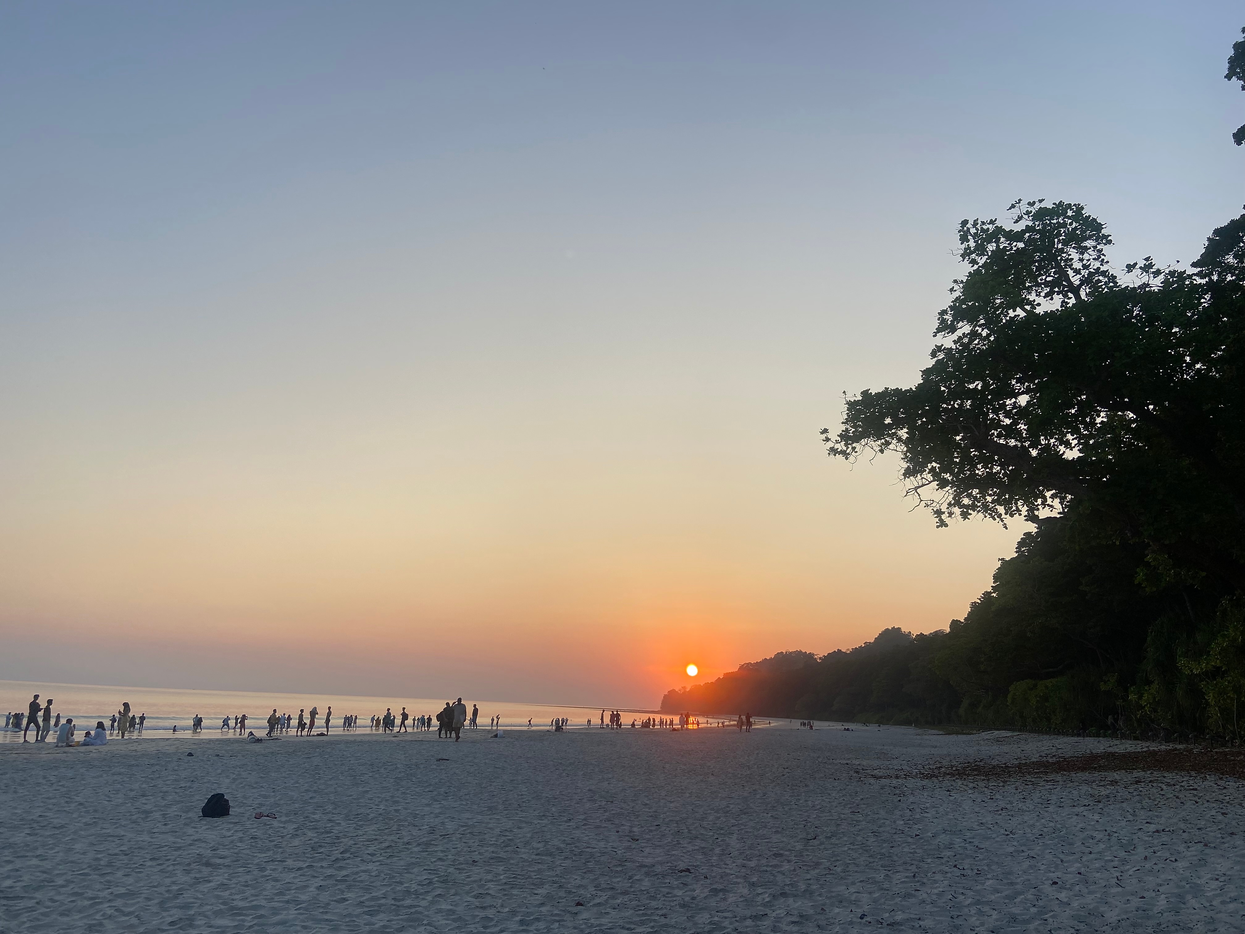 Blue Bird Resort 𝗕𝗢𝗢𝗞 Havelock Resort 𝘄𝗶𝘁𝗵 𝗙𝗥𝗘𝗘 𝗖𝗮𝗻𝗰𝗲𝗹𝗹𝗮𝘁𝗶𝗼𝗻