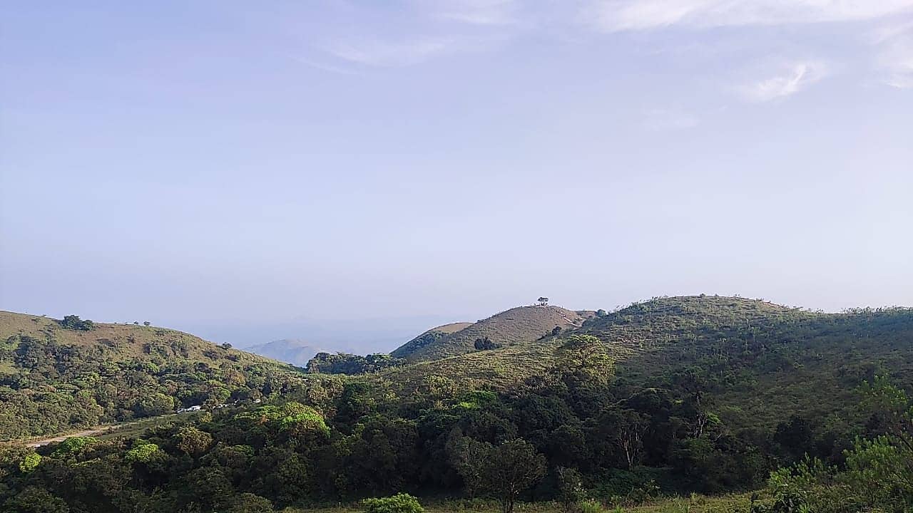 Sunset Valley Homestay | Rooms & Meals 𝗕𝗢𝗢𝗞 Mudigere Homestay 𝘄𝗶𝘁𝗵 𝗙𝗥𝗘𝗘 ...