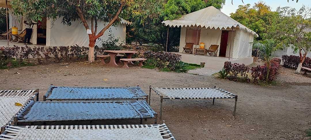 Amber Resort 𝗕𝗢𝗢𝗞 Sasan Gir Homestay 𝘄𝗶𝘁𝗵 𝗙𝗥𝗘𝗘 𝗖𝗮𝗻𝗰𝗲𝗹𝗹𝗮𝘁𝗶𝗼𝗻