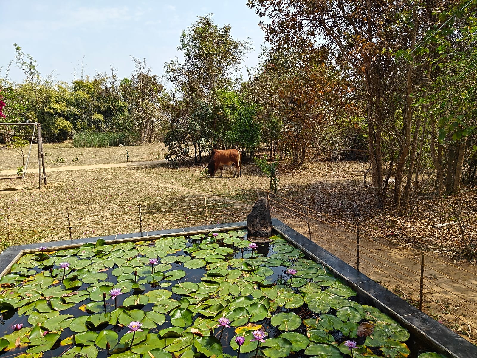 Photos of Forsyth Lodge - Hotel in Sohagpur