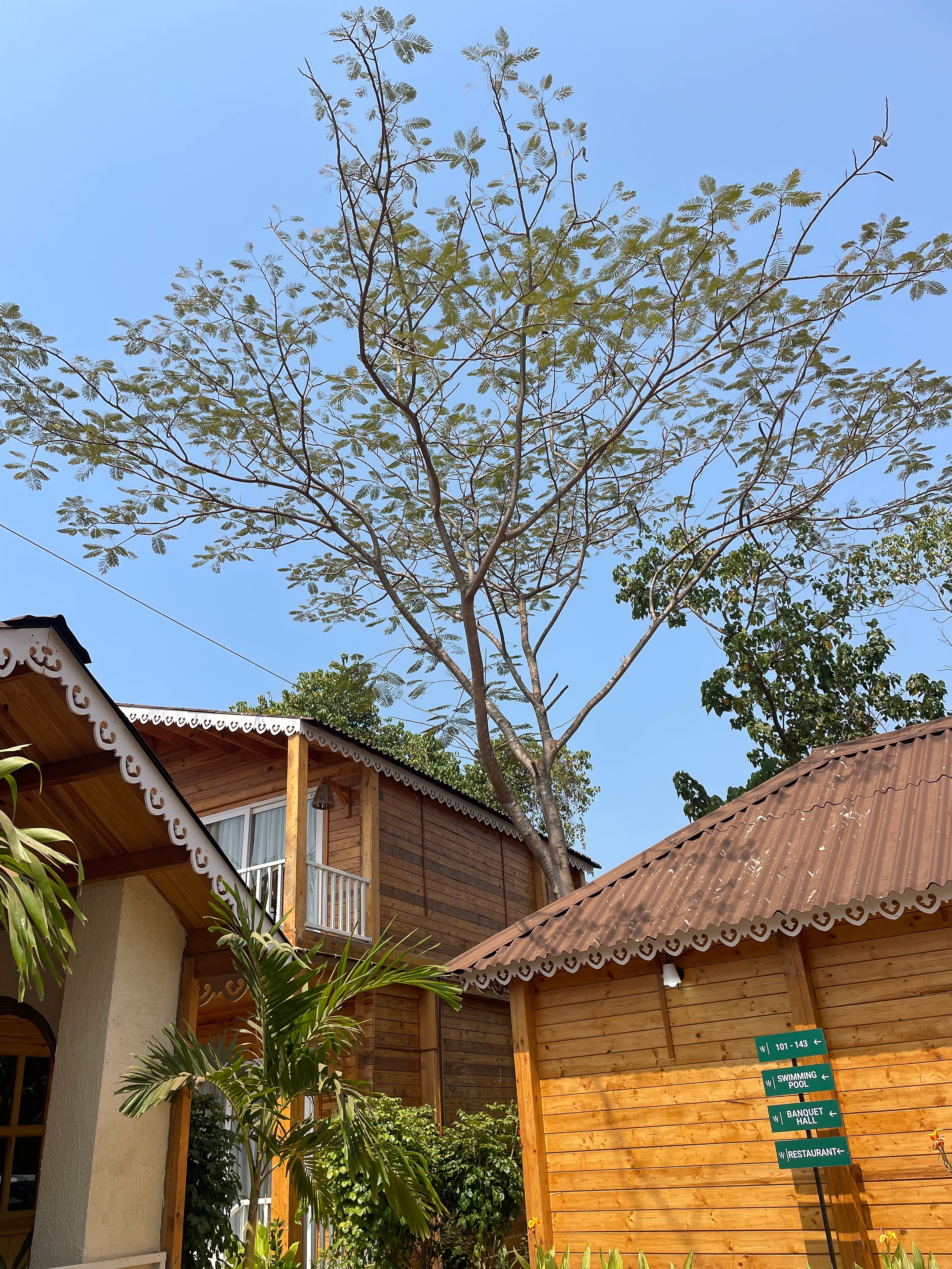 Aralea Beach Resort by Stone Wood 𝗕𝗢𝗢𝗞 Goa Hotel 𝘄𝗶𝘁𝗵 𝗙𝗥𝗘𝗘 𝗖𝗮𝗻𝗰𝗲𝗹𝗹𝗮𝘁𝗶𝗼𝗻