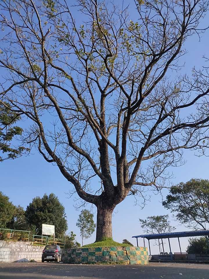 Deccan Valley View Resorts 𝗕𝗢𝗢𝗞 Kotagiri Resort 𝘄𝗶𝘁𝗵 𝗙𝗥𝗘𝗘 𝗖𝗮𝗻𝗰𝗲𝗹𝗹𝗮𝘁𝗶𝗼𝗻