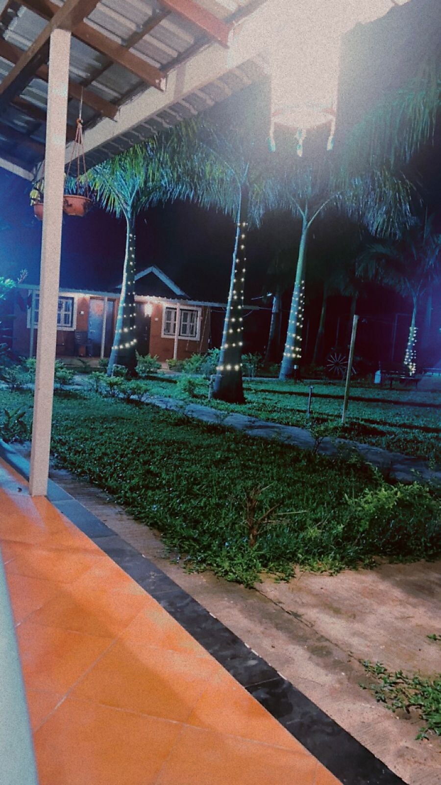 Reviews of Mango Tree Farm Resort | Farm Stay - Homestay in Karjat