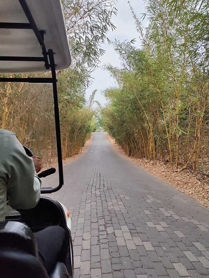 Reviews of Grape County Eco Resort & Spa, Nashik - Resort in Trimbak