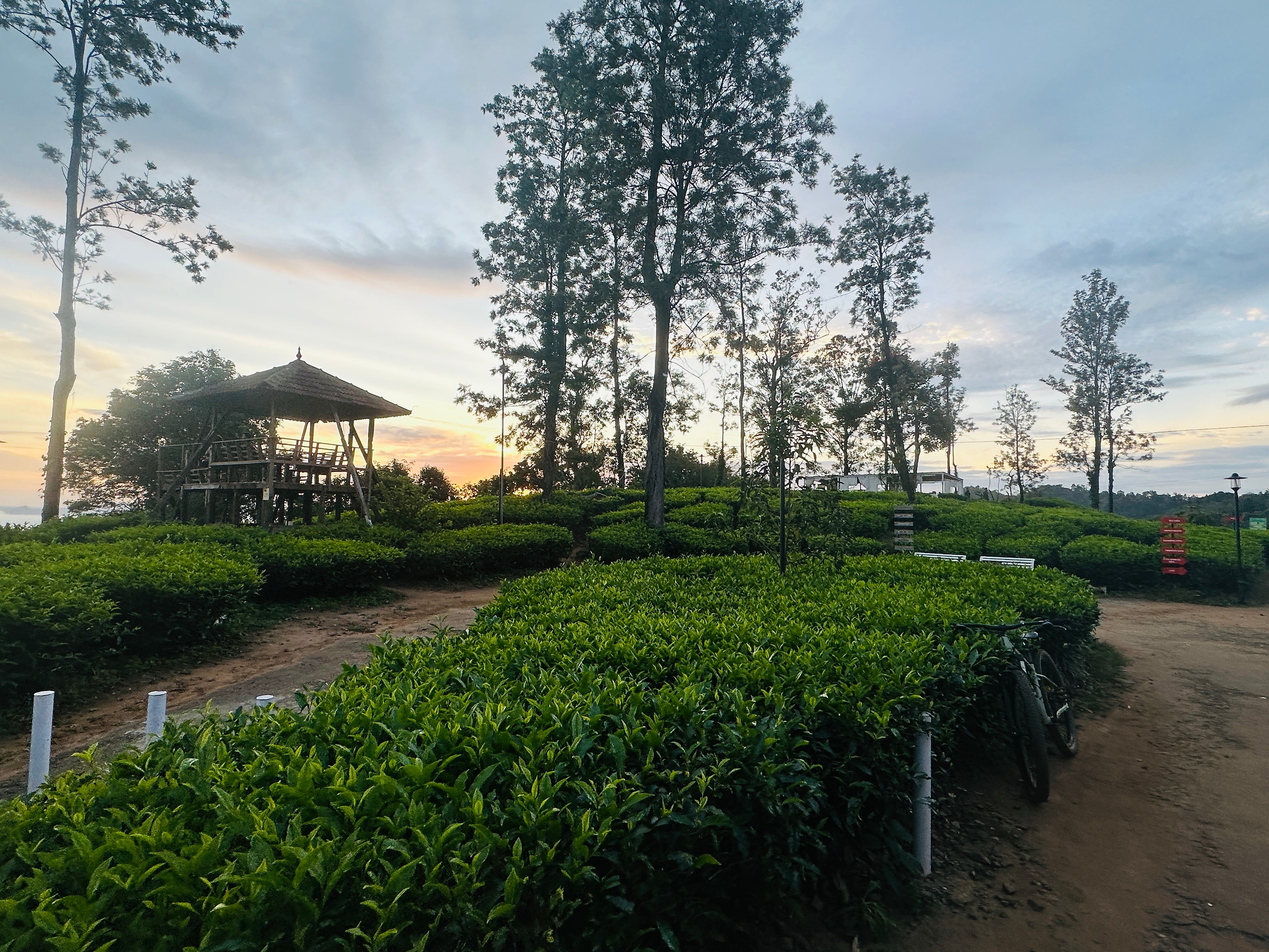 Zostel Plus Wayanad 𝗕𝗢𝗢𝗞 Wayanad Hostel 𝘄𝗶𝘁𝗵 𝗙𝗥𝗘𝗘 𝗖𝗮𝗻𝗰𝗲𝗹𝗹𝗮𝘁𝗶𝗼𝗻