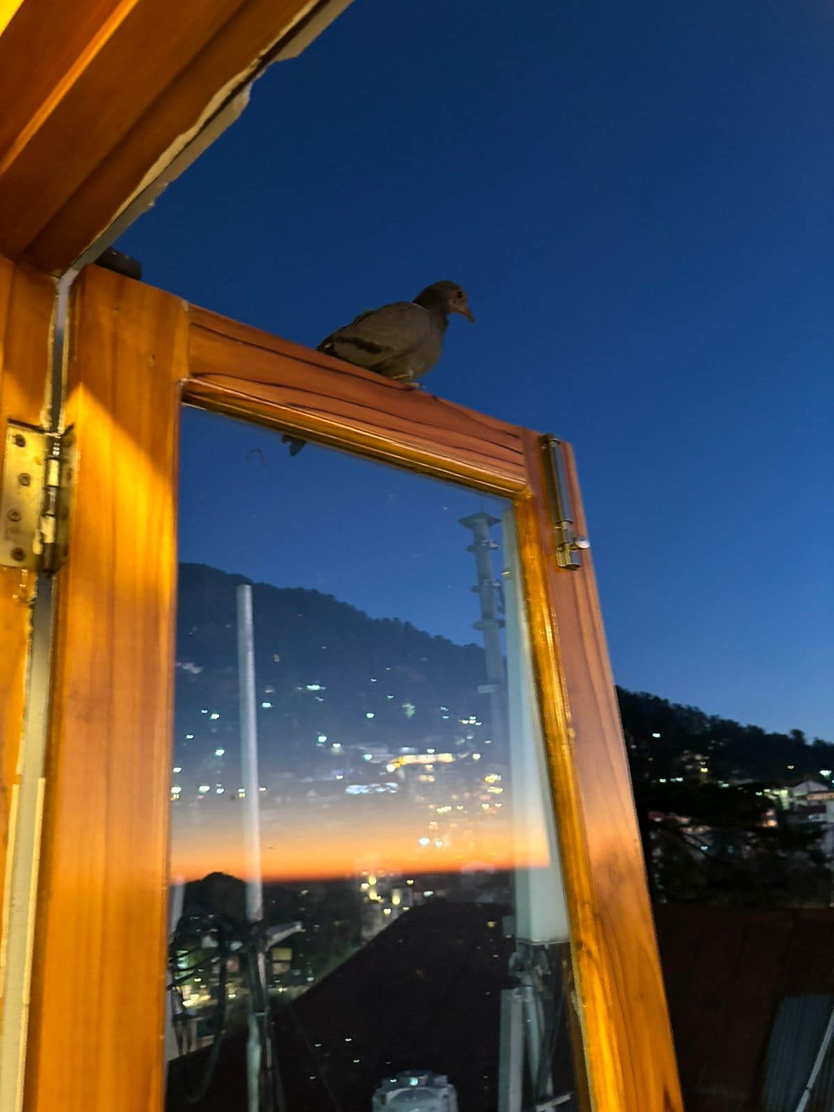 Dee Ess Residency 𝗕𝗢𝗢𝗞 Shimla BnB 𝘄𝗶𝘁𝗵 ₹𝟬 𝗣𝗔𝗬𝗠𝗘𝗡𝗧