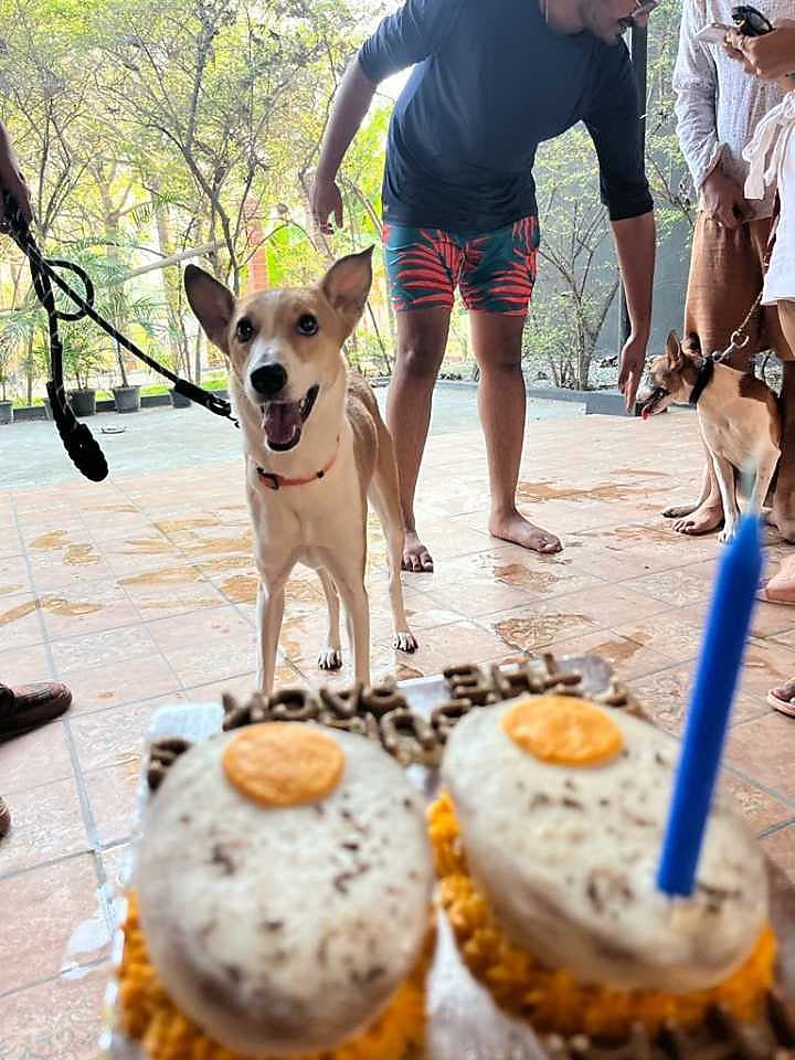 The Krafted Backyard | 2 BHK Villa 𝗕𝗢𝗢𝗞 Bangalore Farm House 𝘄𝗶𝘁𝗵 ₹𝟬 ...