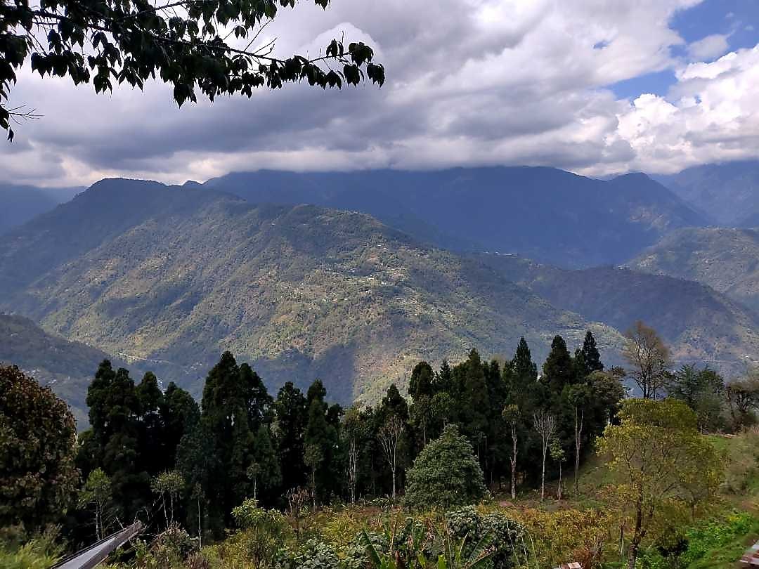 SILA Norphel Pelling 𝗕𝗢𝗢𝗞 Pelling Hotel 𝘄𝗶𝘁𝗵 ₹𝟬 𝗣𝗔𝗬𝗠𝗘𝗡𝗧