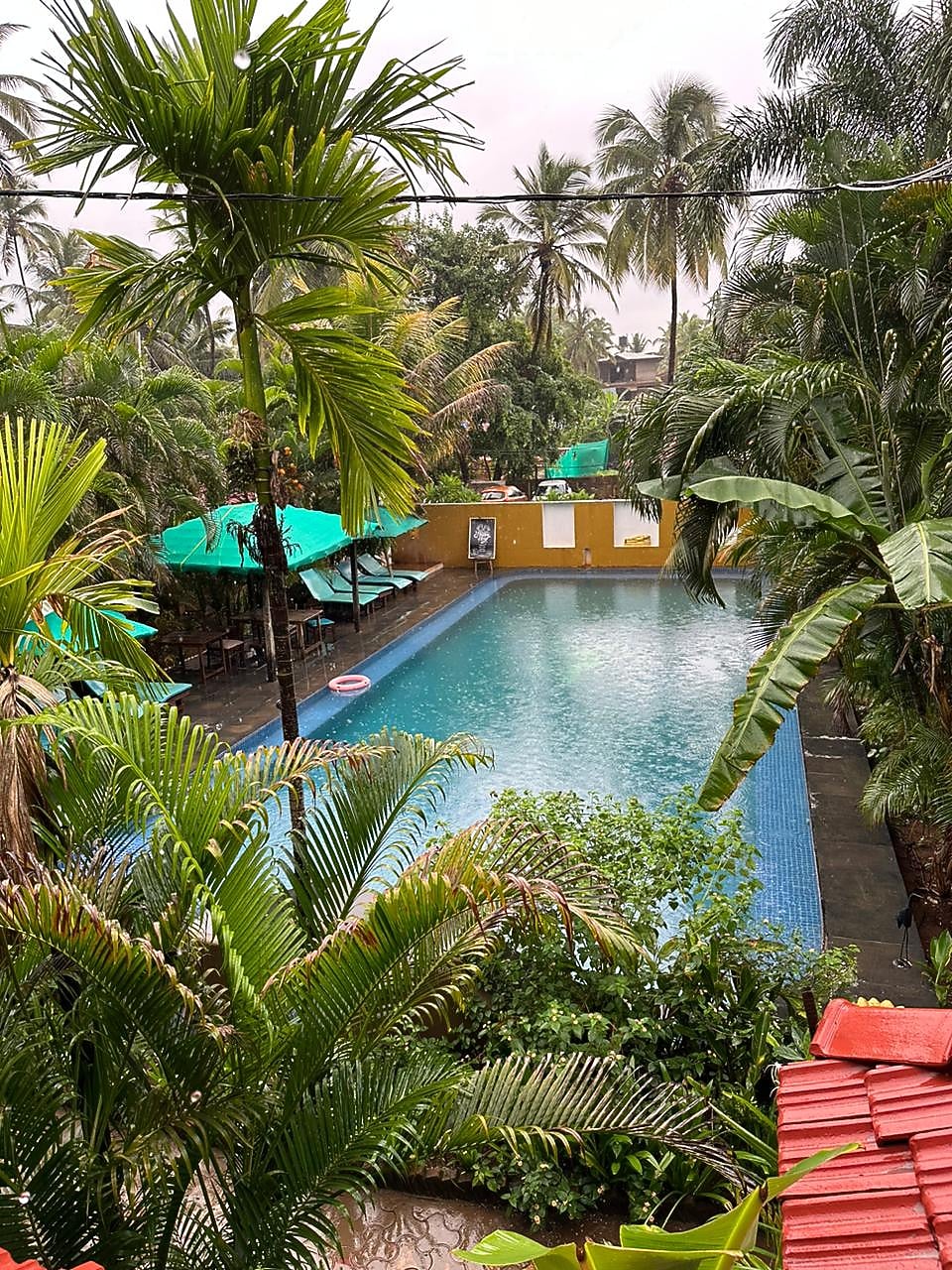 juSTa Morjim Beach Resort (80 steps from Morjim Beach) 𝗕𝗢𝗢𝗞 Goa Resort ...