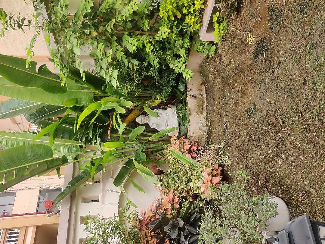 Zostel Pune (Viman Nagar) 𝗕𝗢𝗢𝗞 Pune Hostel 𝘄𝗶𝘁𝗵 𝗙𝗥𝗘𝗘 𝗖𝗮𝗻𝗰𝗲𝗹𝗹𝗮𝘁𝗶𝗼𝗻