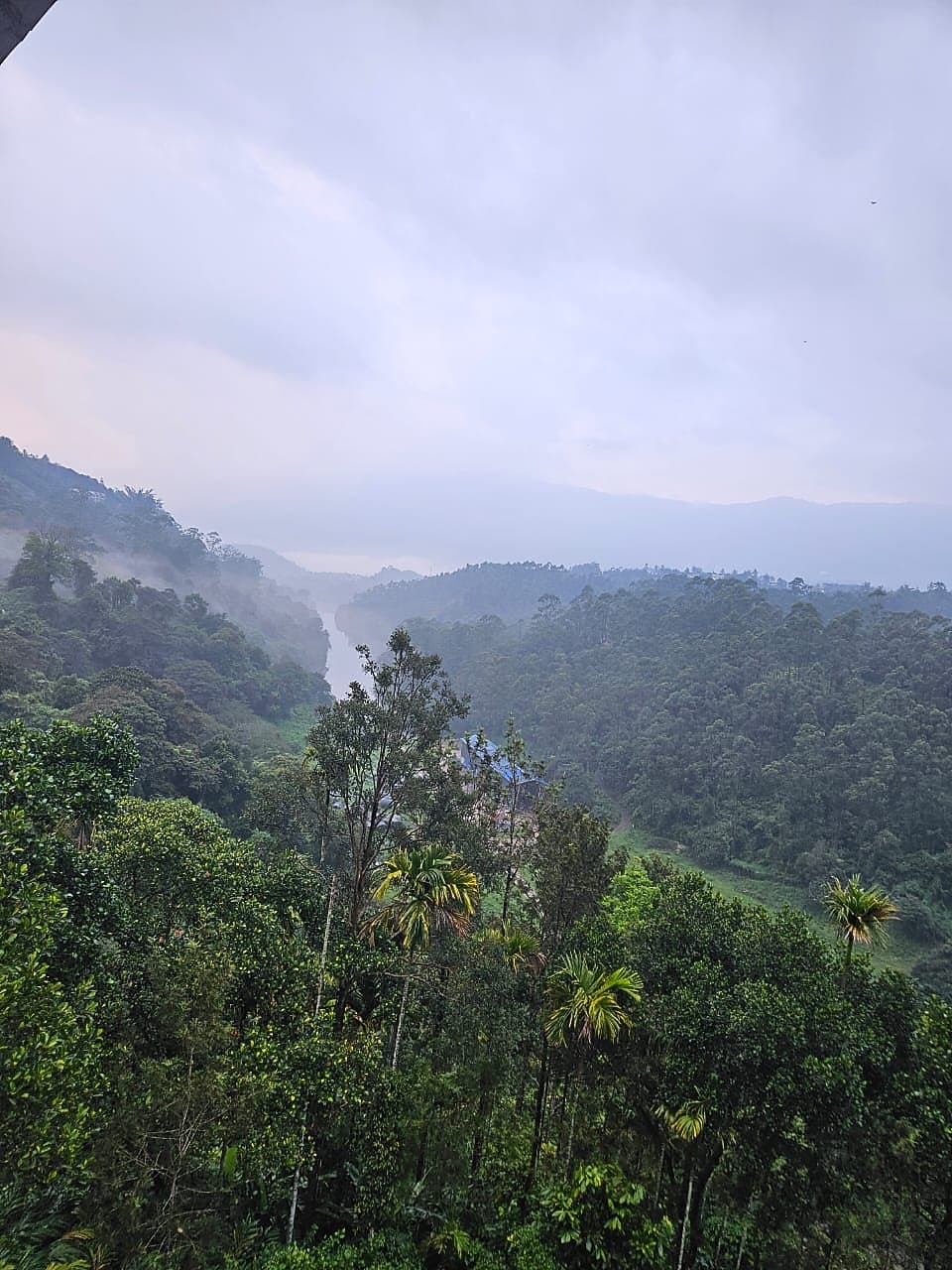 Lake Forest Munnar By Hawk Hospitality 𝗕𝗢𝗢𝗞 Munnar Resort 𝘄𝗶𝘁𝗵 𝗙𝗥𝗘𝗘 ...