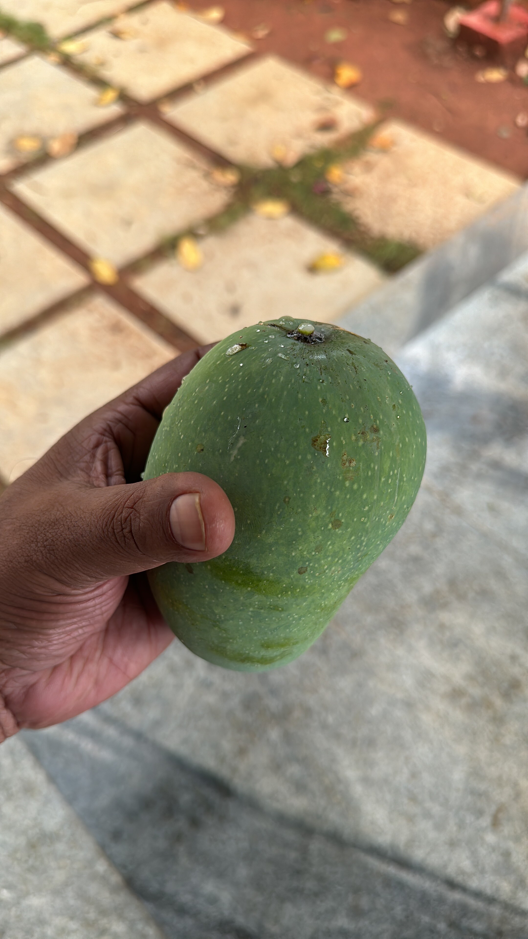 SS Lumina Villa 𝗕𝗢𝗢𝗞 Bangalore Villa 𝘄𝗶𝘁𝗵 𝗙𝗥𝗘𝗘 𝗖𝗮𝗻𝗰𝗲𝗹𝗹𝗮𝘁𝗶𝗼𝗻