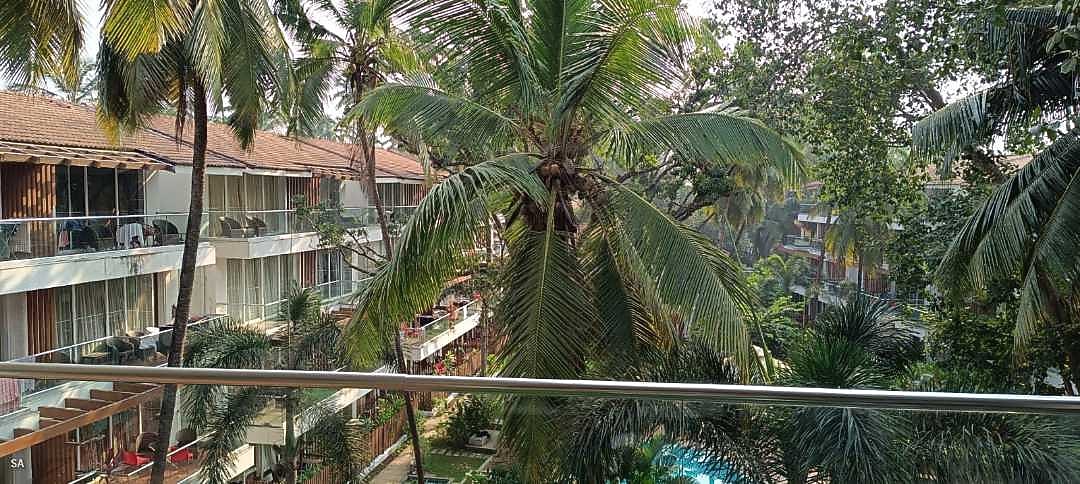 The Eternal Wave Calangute - Sunrise View Condo 𝗕𝗢𝗢𝗞 Goa Apartment 𝘄𝗶𝘁𝗵 ...