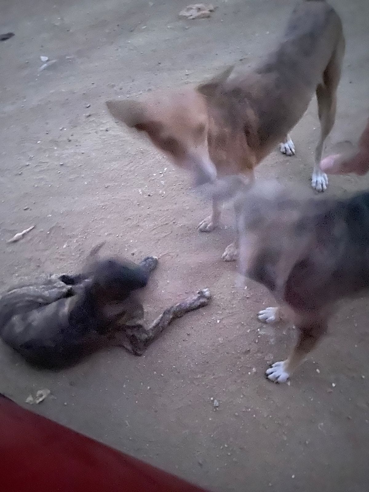 Wander lust hampi, Hampi 𝗕𝗢𝗢𝗞 Hampi Homestay 𝘄𝗶𝘁𝗵 𝗙𝗥𝗘𝗘 𝗖𝗮𝗻𝗰𝗲𝗹𝗹𝗮𝘁𝗶𝗼𝗻