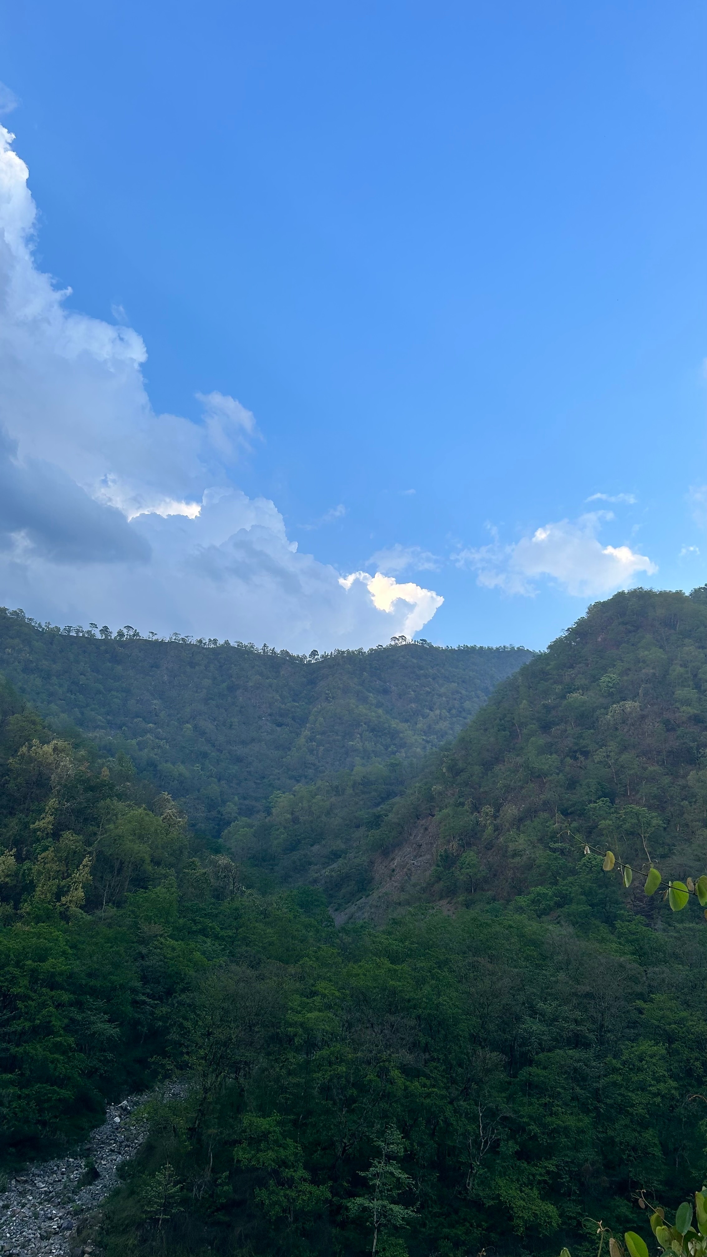 Moustache Rishikesh Riverside Resort 𝗕𝗢𝗢𝗞 Rishikesh Cottage 𝘄𝗶𝘁𝗵 ₹𝟬 𝗣𝗔𝗬𝗠𝗘𝗡𝗧