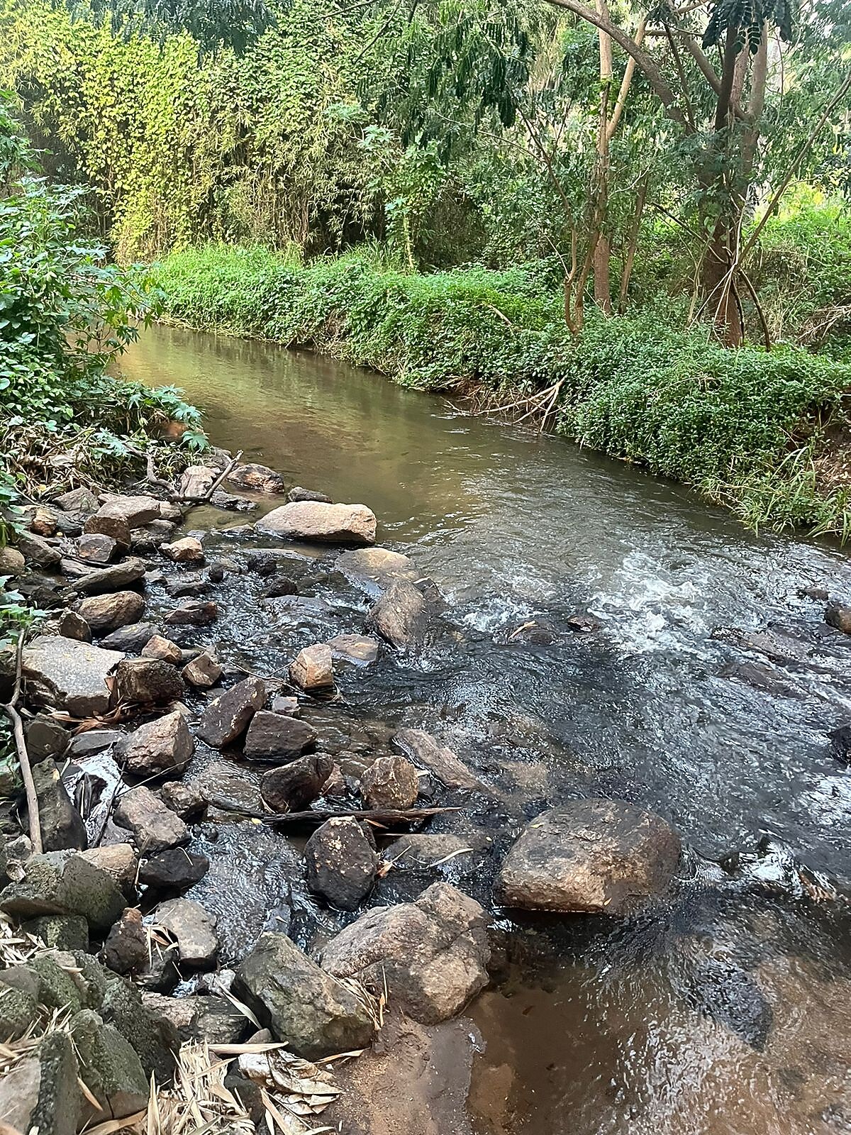 Banyan Tree Farm | Rooms & Pool 𝗕𝗢𝗢𝗞 Pollachi Homestay 𝘄𝗶𝘁𝗵 𝗙𝗥𝗘𝗘 ...