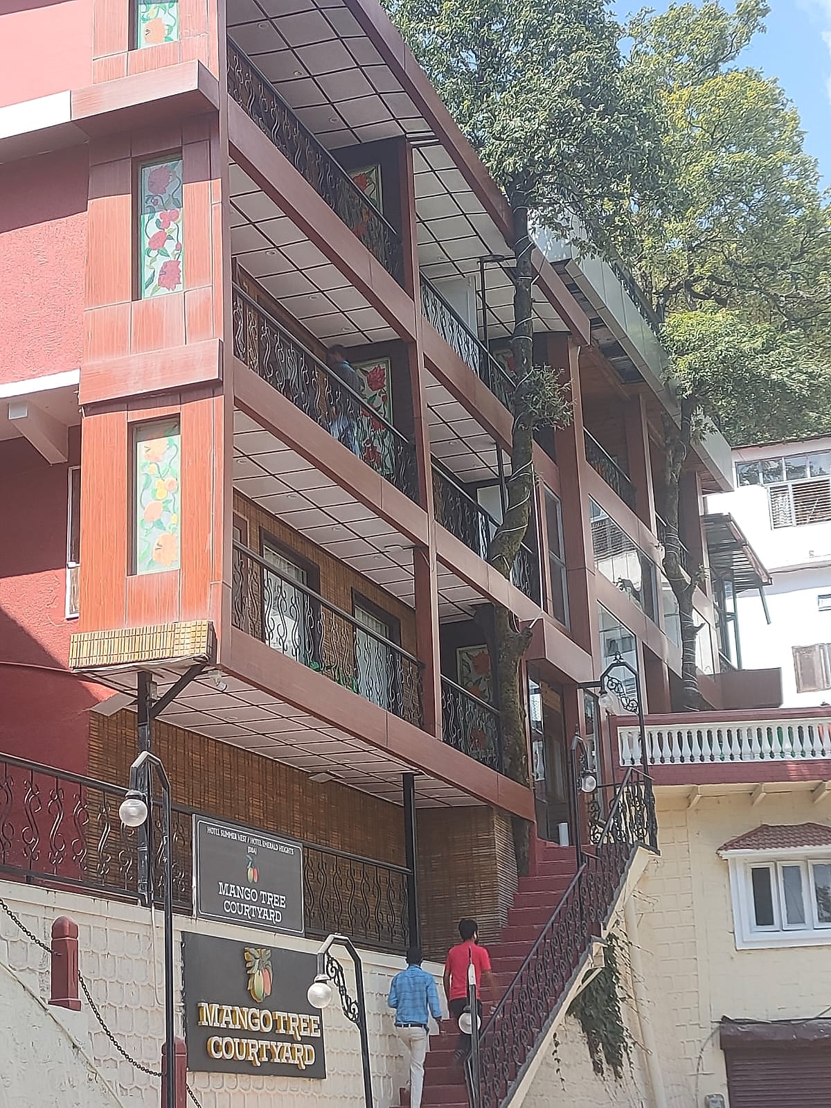 Mango Tree Courtyard Mussoorie 𝗕𝗢𝗢𝗞 Mussoorie Hotel 𝘄𝗶𝘁𝗵 ₹𝟬 𝗣𝗔𝗬𝗠𝗘𝗡𝗧