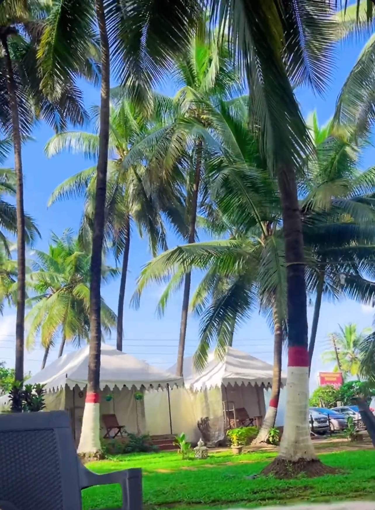 Blue Coast Beach resort 𝗕𝗢𝗢𝗞 Alibaug Resort 𝘄𝗶𝘁𝗵 𝗙𝗥𝗘𝗘 𝗖𝗮𝗻𝗰𝗲𝗹𝗹𝗮𝘁𝗶𝗼𝗻