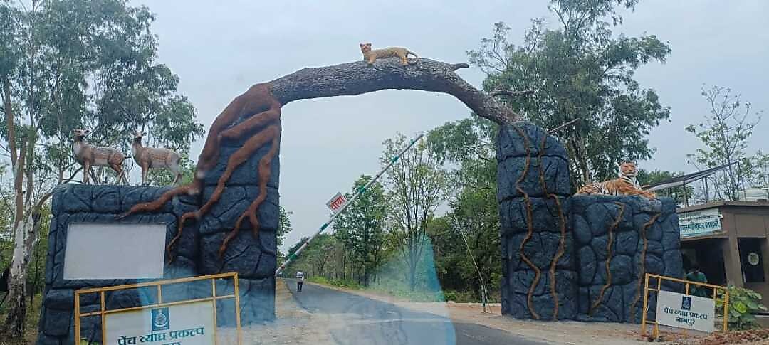 Reviews of Olive Resort - Sillari Pench - Resort in Ramtek