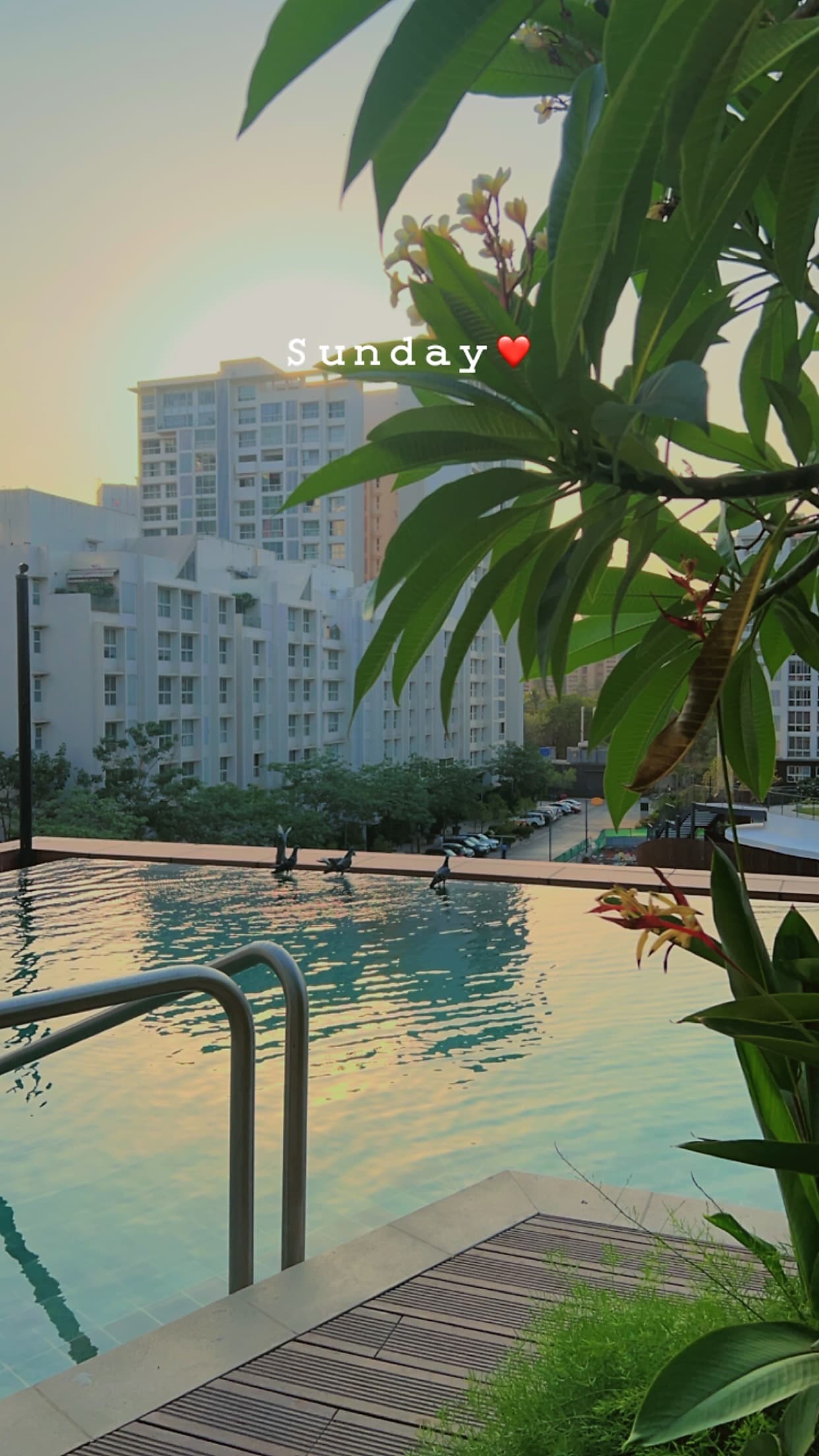 Taj The Trees Mumbai 𝗕𝗢𝗢𝗞 Mumbai Hotel 𝘄𝗶𝘁𝗵 𝗙𝗥𝗘𝗘 𝗖𝗮𝗻𝗰𝗲𝗹𝗹𝗮𝘁𝗶𝗼𝗻