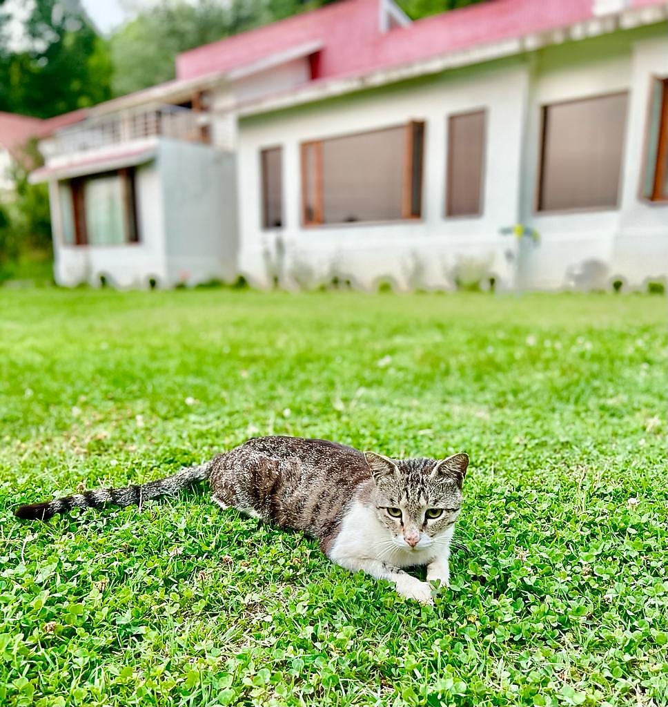 Orania 𝗕𝗢𝗢𝗞 Srinagar Homestay 𝘄𝗶𝘁𝗵 ₹𝟬 𝗣𝗔𝗬𝗠𝗘𝗡𝗧